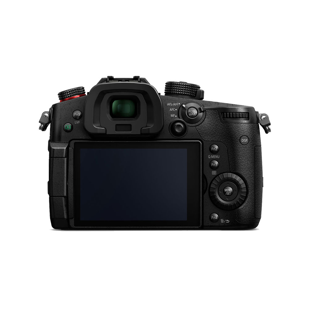 Lumix gh5s store